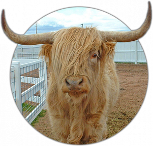 Family Friendly attractions in Rapid City - Old MacDonalds Farm